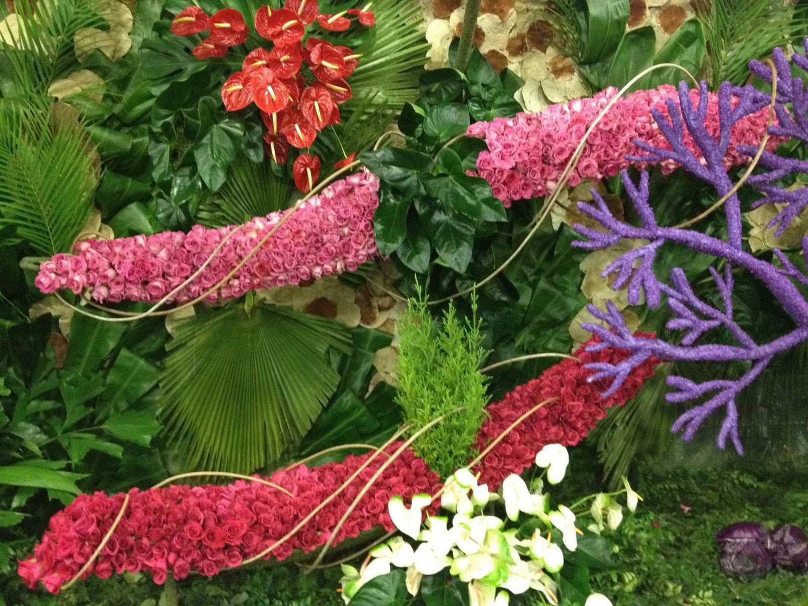 Things to Ponder: Behind The Scenes at the Natural Balance Rose Parade ...