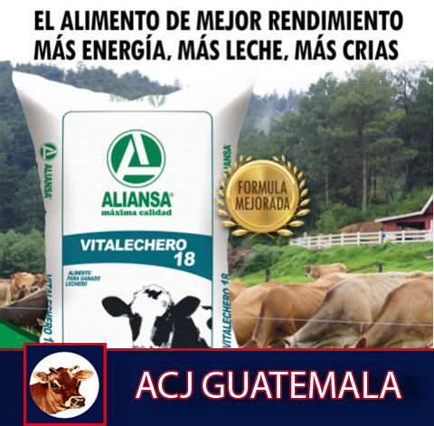 ALIMENTOS PARA VACAS LECHERAS
