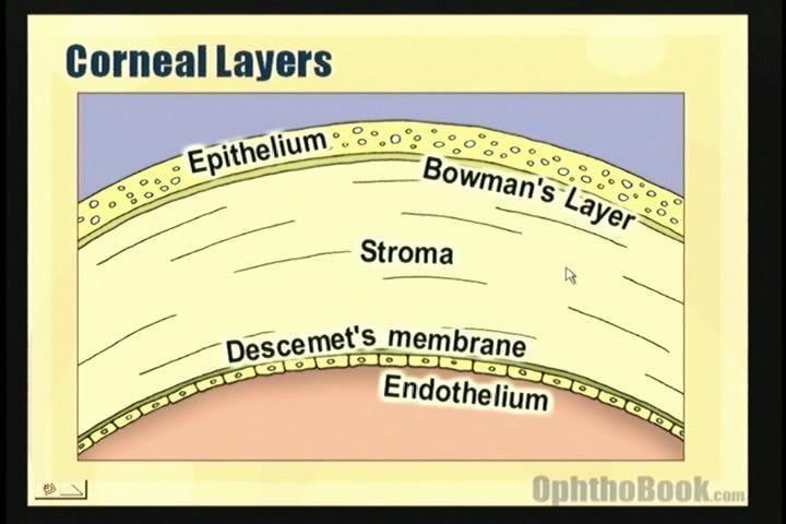 MEDICAL BLOG: Keratitis