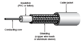 LAN (Local Area Network): cable networking