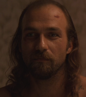 Notebooks on Cinema: A Viewer's Guide to the Minor Characters of Heat ...