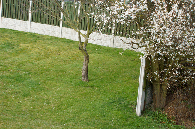 A British Island Adventure: Essex - day 4: Bridgemarsh Island