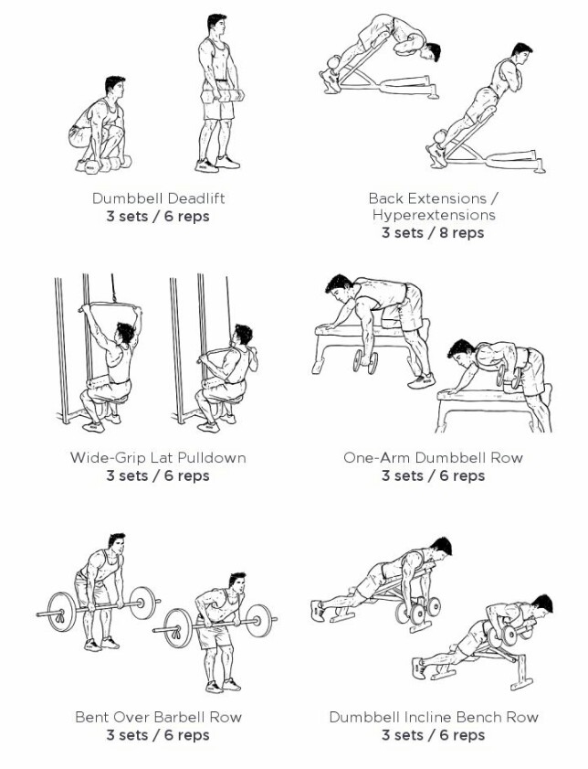 The Gym Quotes And Tips : SOME CHEST, BACK AND SHOULDER WORKOUTS ...
