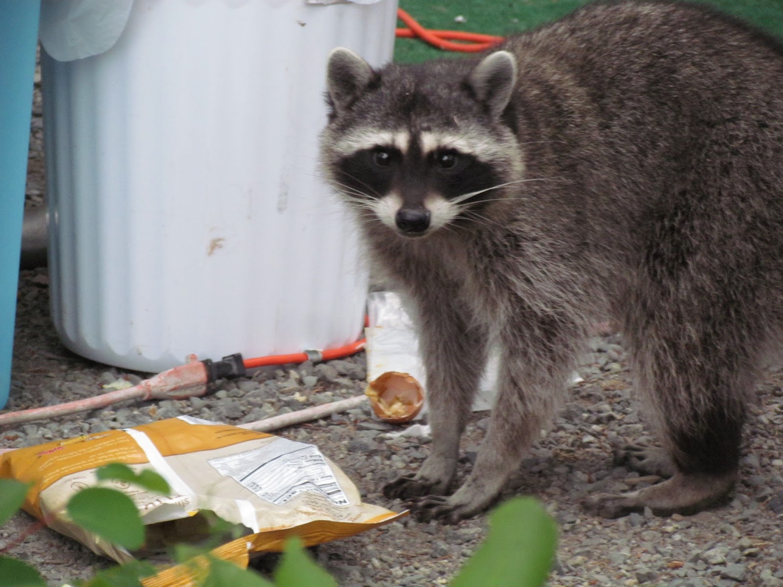 Scene Through My Eyes: What We Did On Our Vacation - Part Three