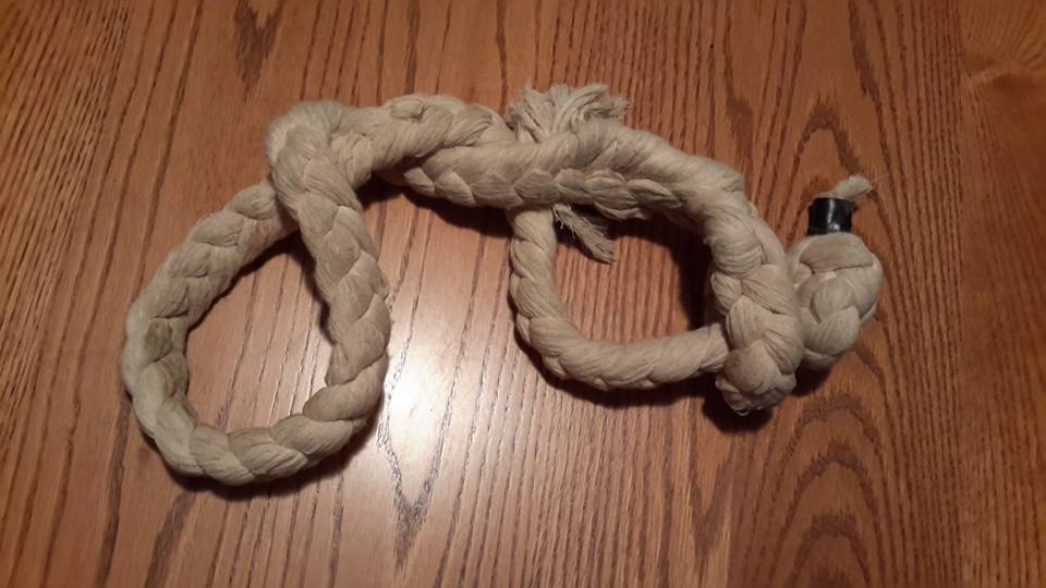 Poptart the Arabian: September 2015