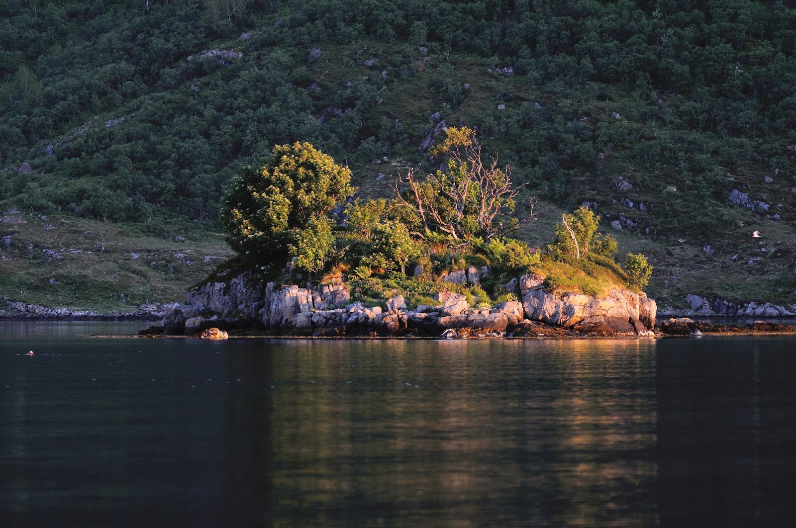 bilder&tekst: Minner fra en nord norsk sommer 2. / Memories of a summer ...