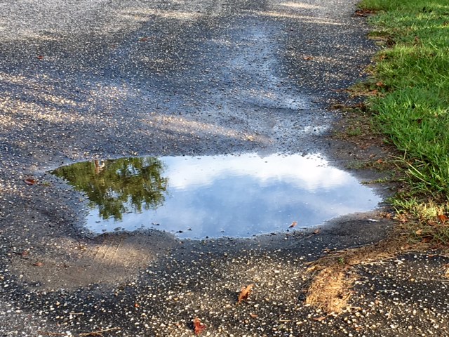 Puddle - 깜장뿔테의 Life Story