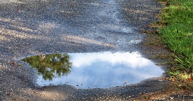 Puddle - 깜장뿔테의 Life Story