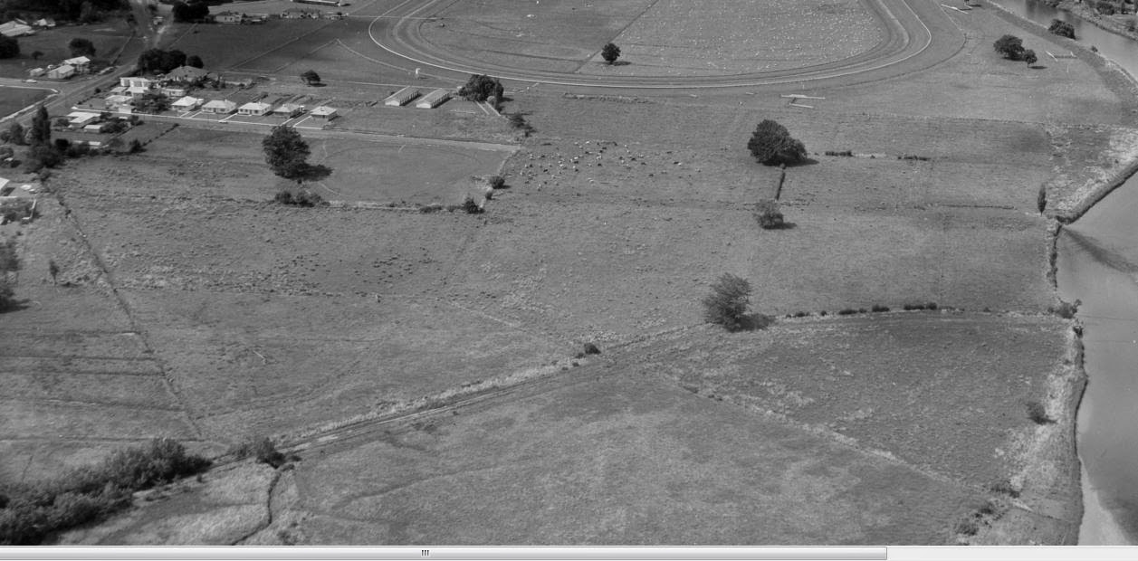 Thames NZ: Genealogy & History Resources: Thames (NZ): Racecourse area 1965