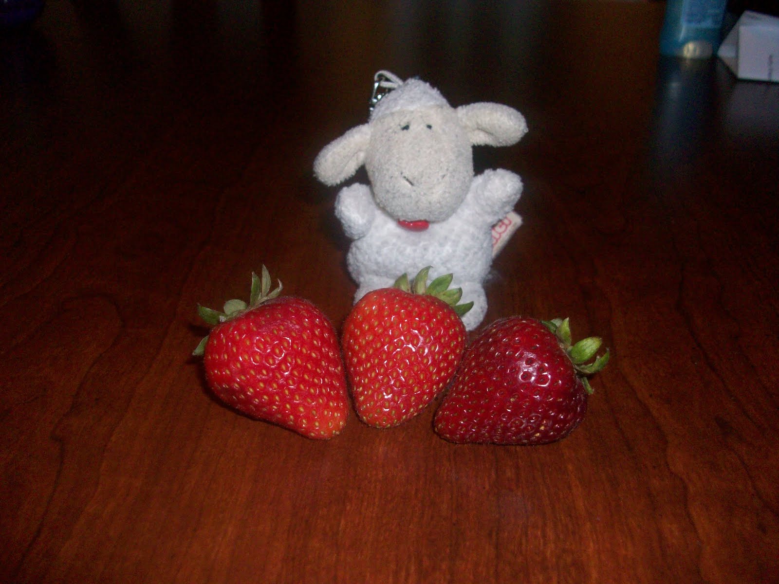 AP BIOLOGY PROJECT!!!: Aggregate, Simple, and Multiple Fruit