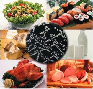 Escherichia coli en los alimentos: ¿Qué alimentos podrían contaminarse?