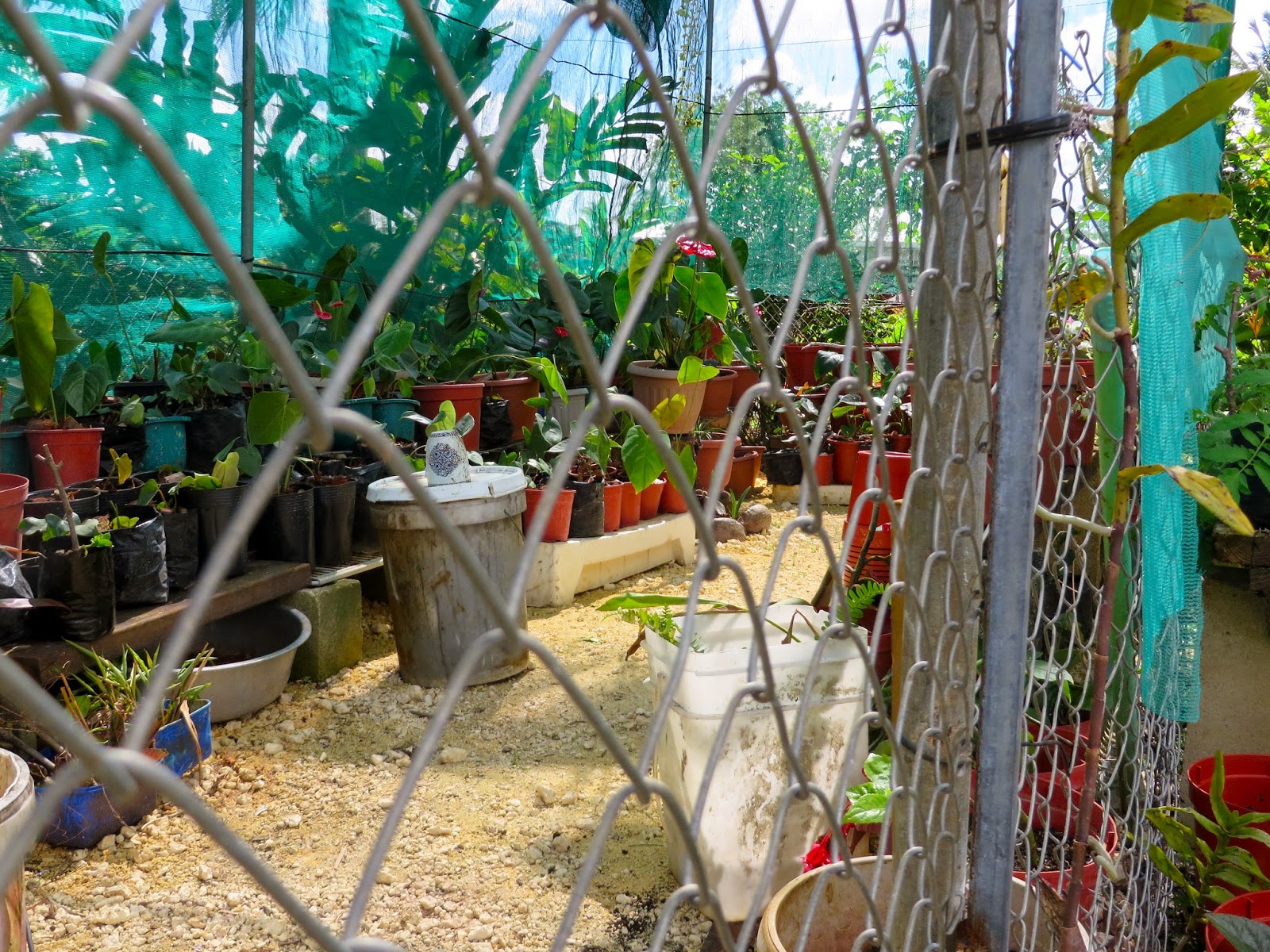 Ako 'a e 'Ulungaanga Faka-Tonga: Ko Hoku Fãmili Tonga (My Tongan Family)