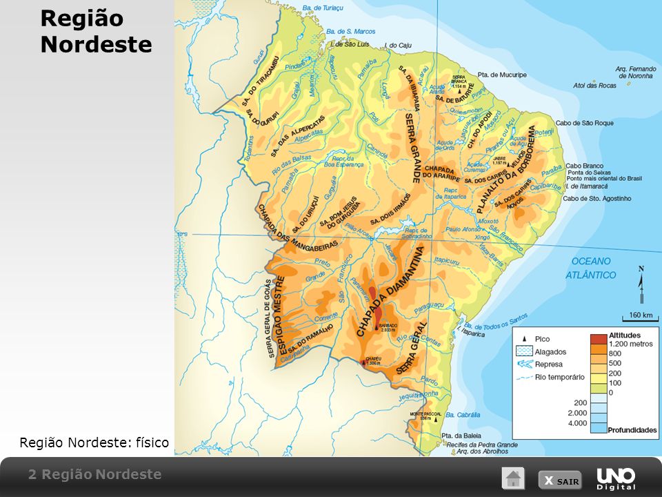Geo - Conceição : REGIÃO NORDESTE