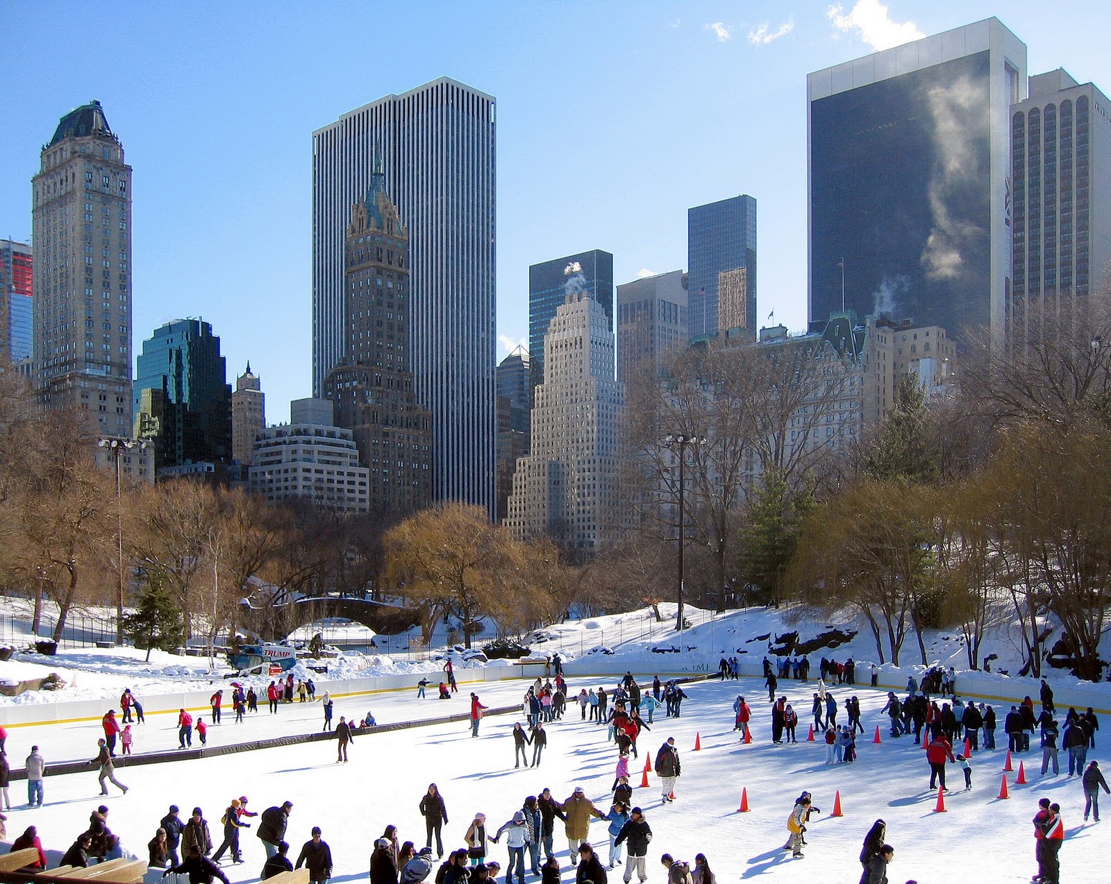 Rincones de Nueva York: Pistas de hielo en NY
