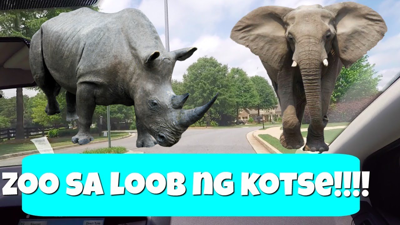 elepante - philippin news collections