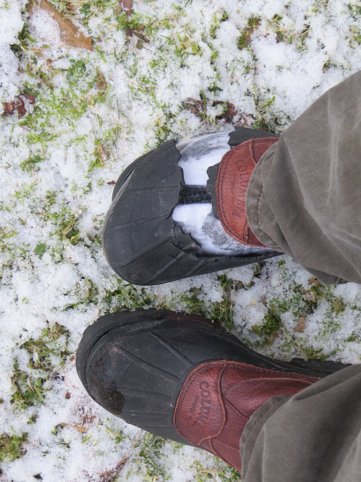 Alaska and Beyond Through Artists' Eyes: December 2016