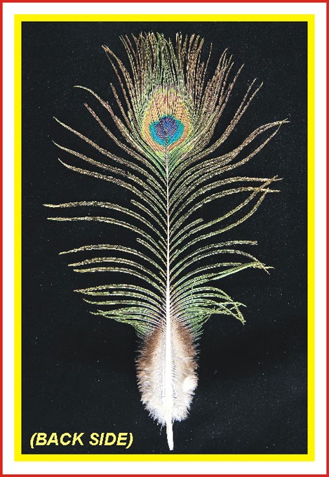 KRISHNA MORPANKH: KRISHNA MOR PANKH