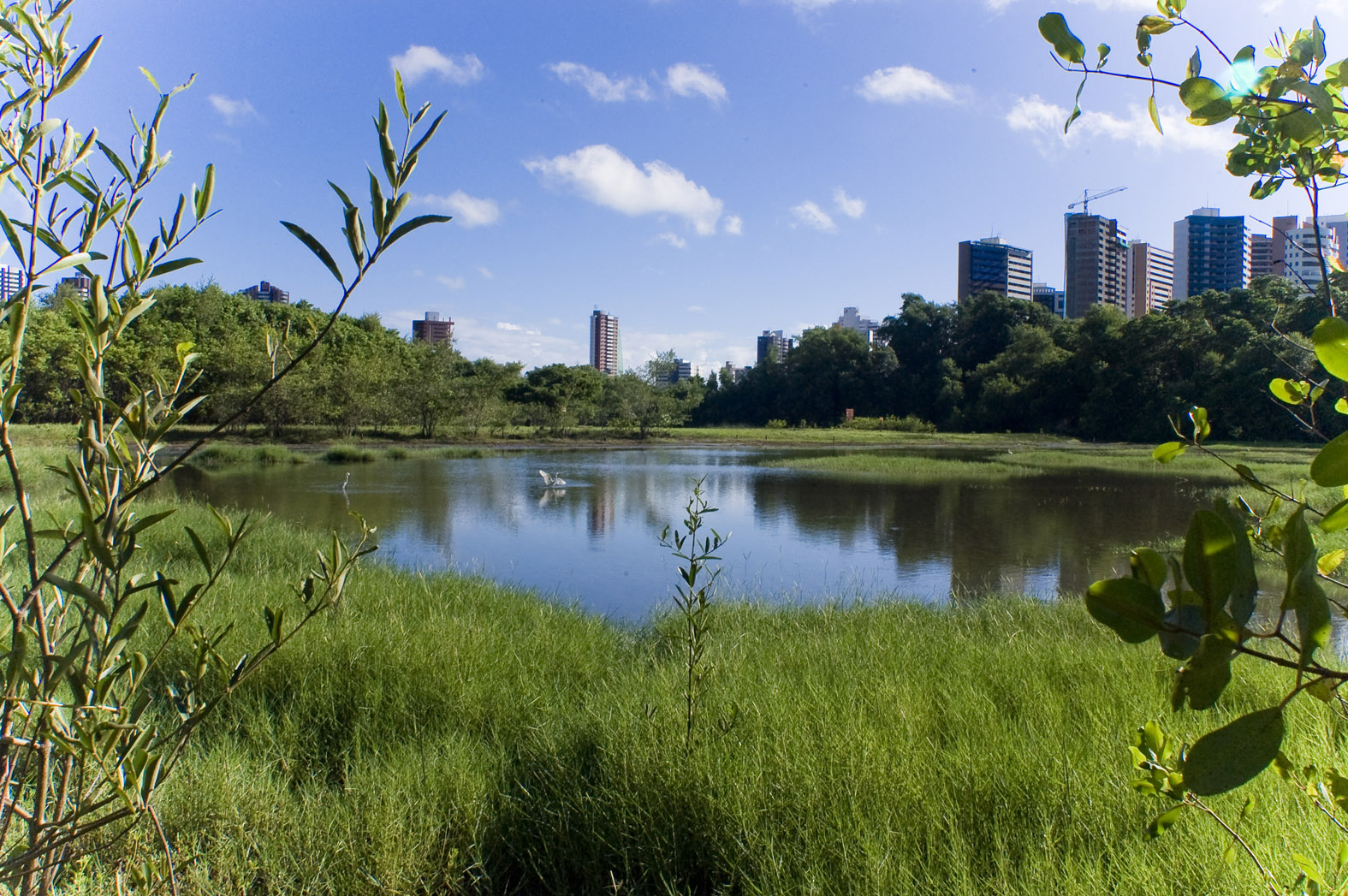 RW PAISAGISMO: PARQUE URBANO: APÓS 40 ANOS, PARQUE DO COCÓ É ...