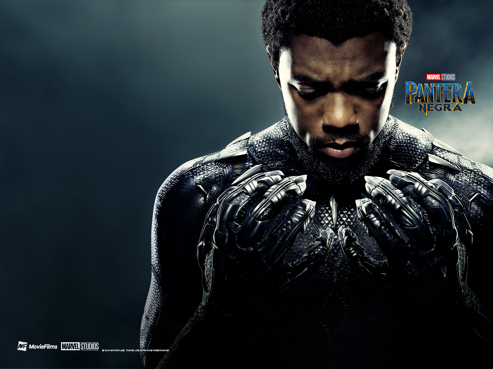 PANTERA NEGRA - CRITICA DO FILME