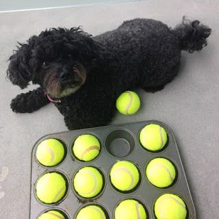 Bark City Doggy Daycare: DIY Enrichment Games For Your Dog