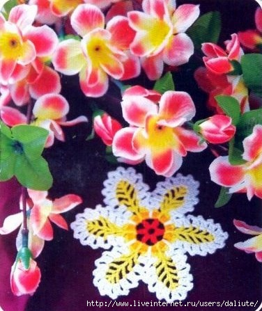 Tina's handicraft : 9 designs for motifs