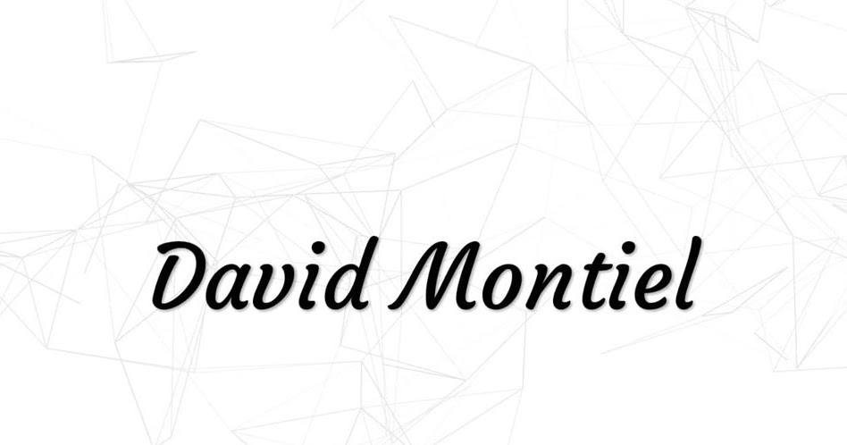 El Blog de una Principiante: David Montiel