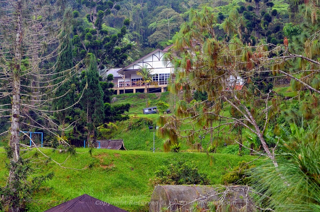 zulazrin.blogspot: Bukit Larut - Maxwell Hill