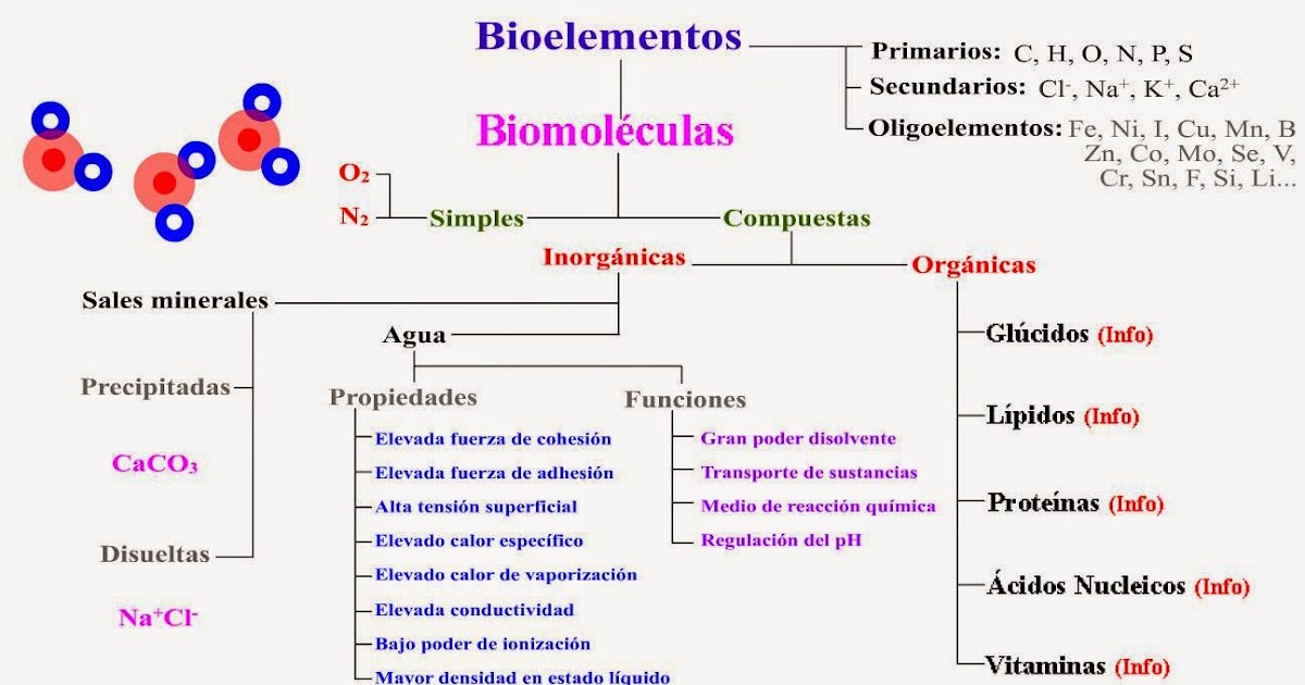 Biología 2º bachillerato.: BIOELEMENTOS