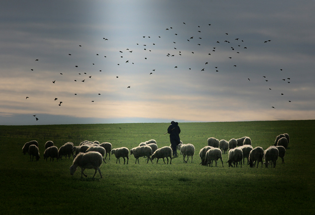 p. José María CASTILLO"IL BUON PASTORE DA’ LA PROPRIA VITA PER LE PECORE"