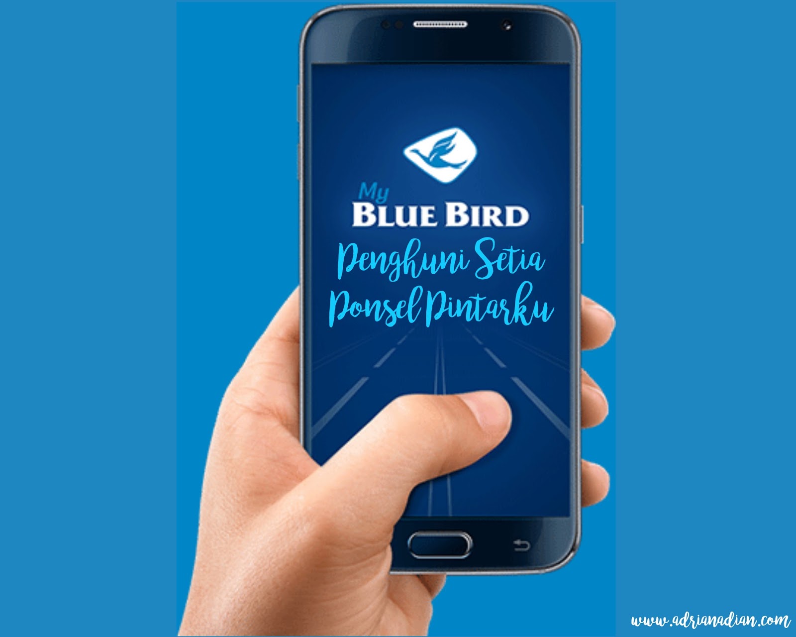 My Blue Bird App, Penghuni Setia Ponsel Pintarku