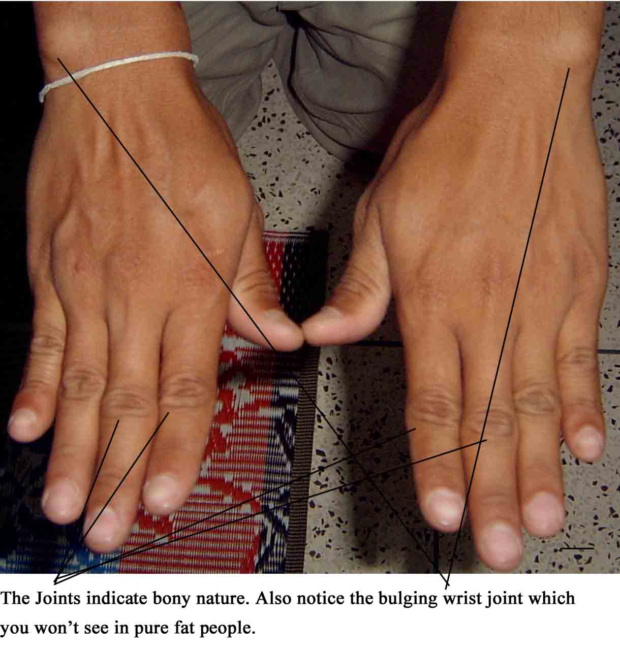 palmistry: Know your Future: 2013