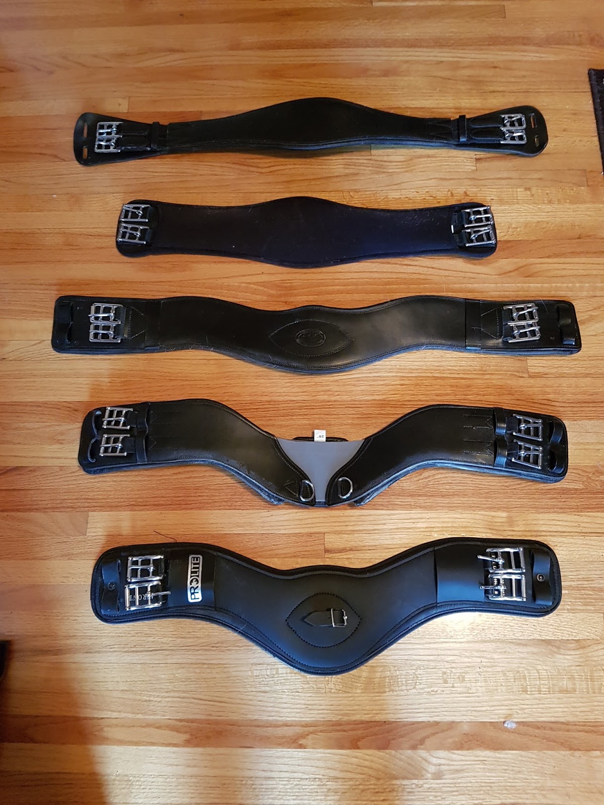 Autonomous Dressage: Girths, Girths, Girths