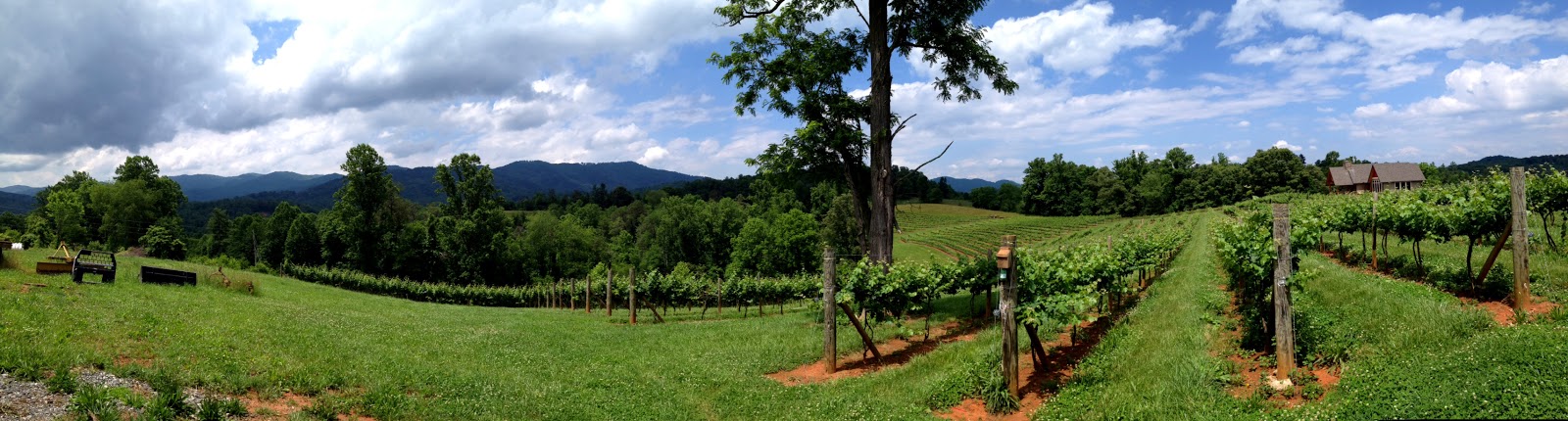 NC Wine-Down Weekend: Addison Farms Vineyard