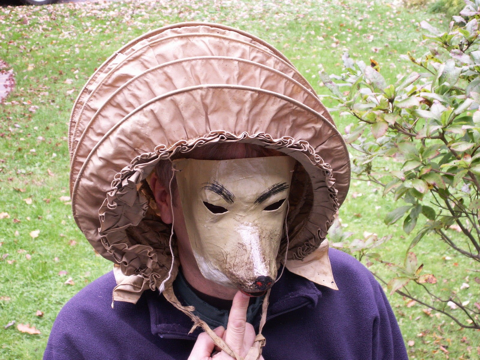 All The Pretty Dresses: Calash Bonnet