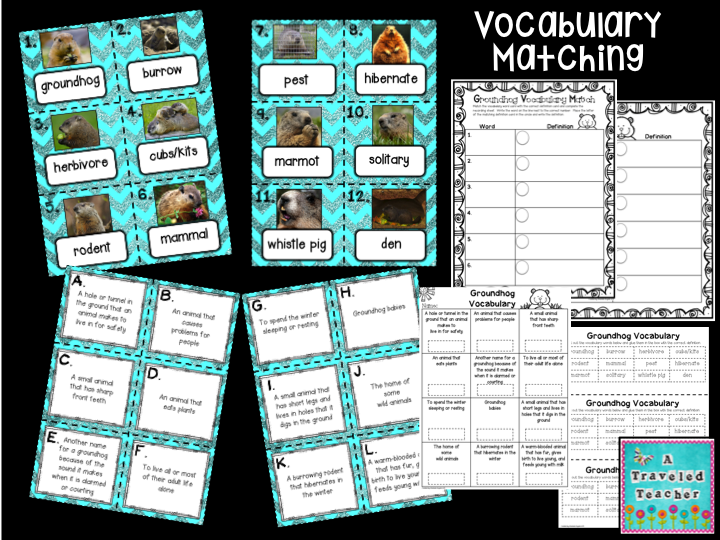 A Traveled Teacher: Groundhogs Nonfiction Unit