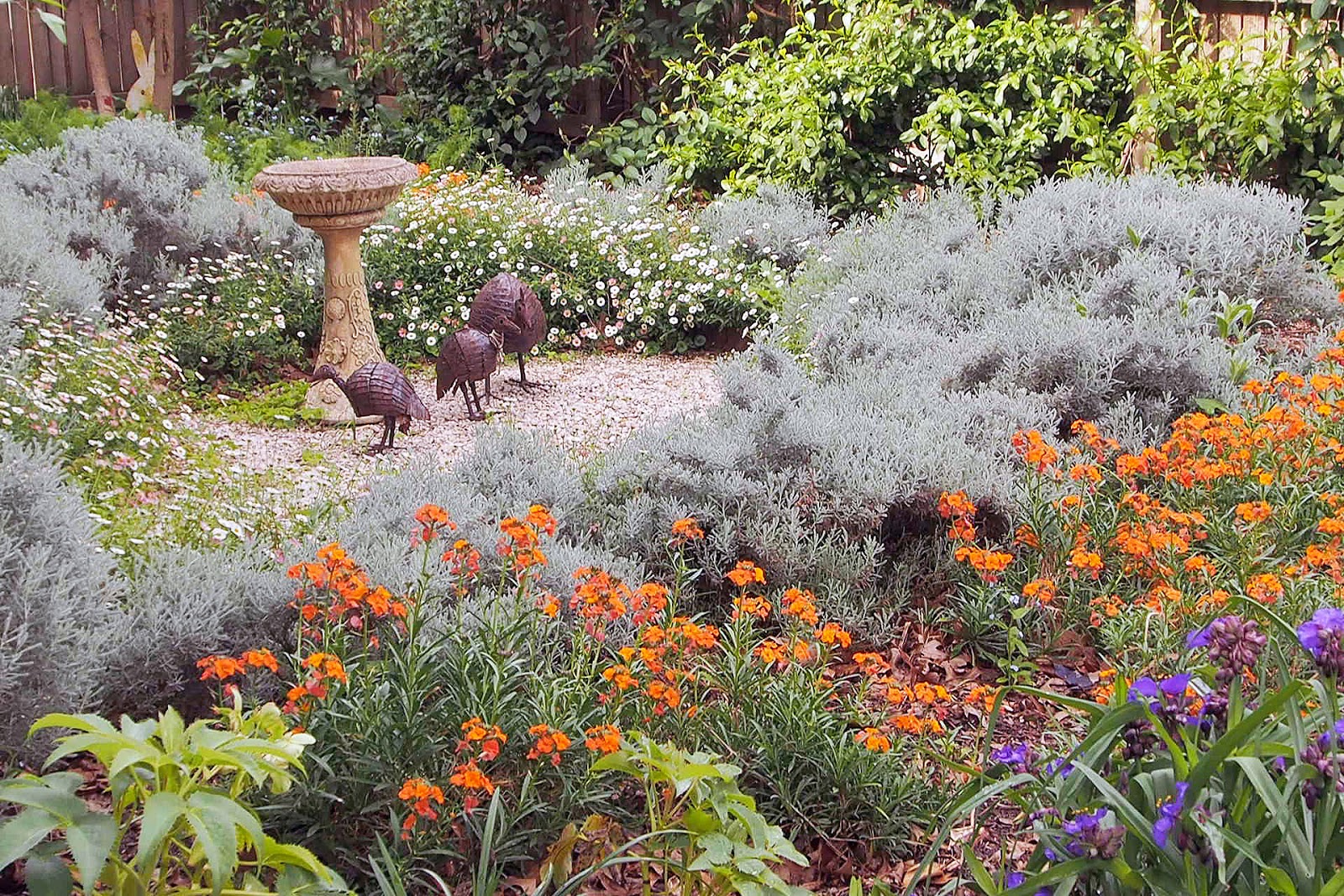 garden's at its best in spring