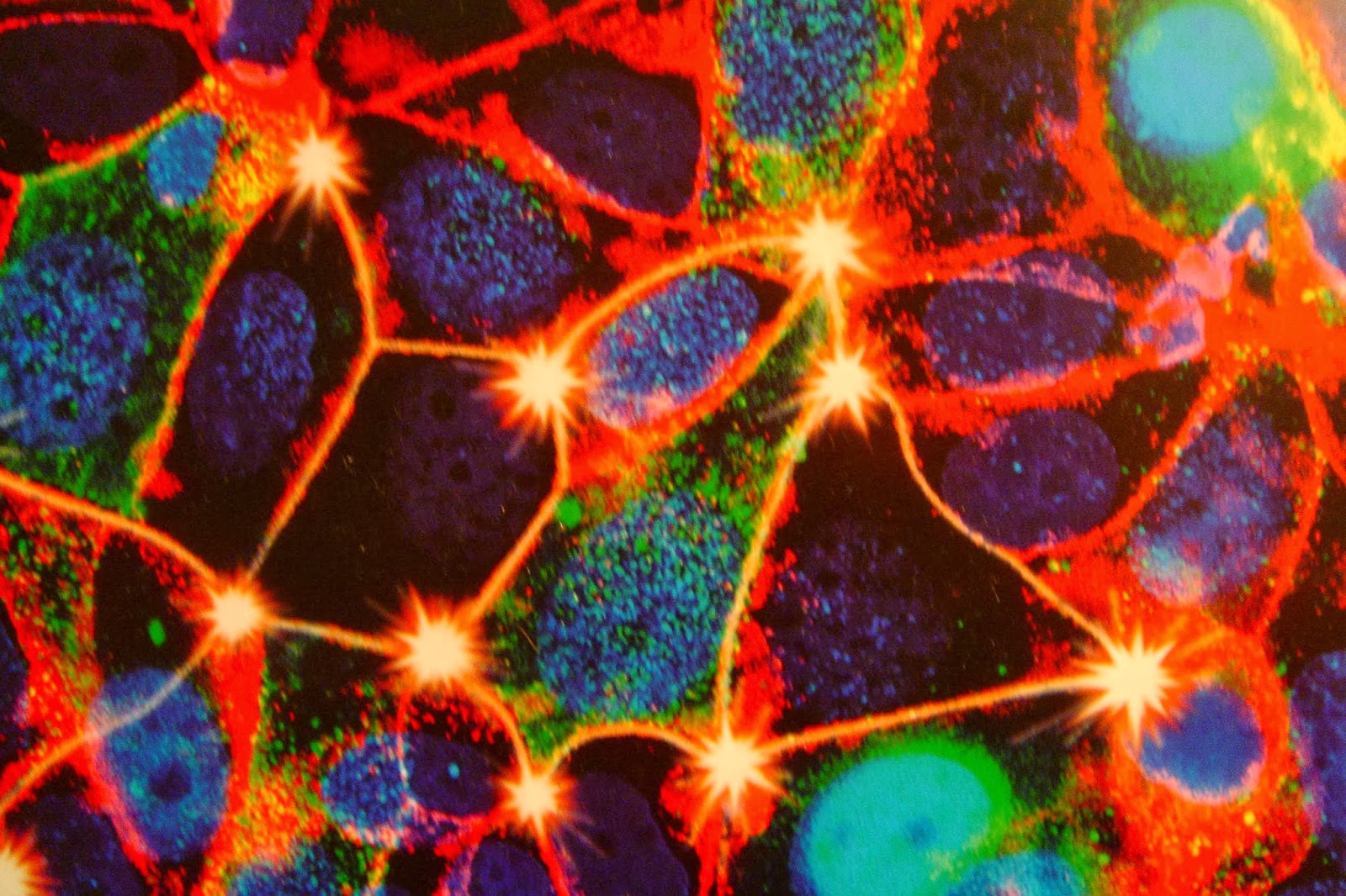 Escuadrón Mata Burros Gran América: Sistemas: Vamos a los autómatas griegos