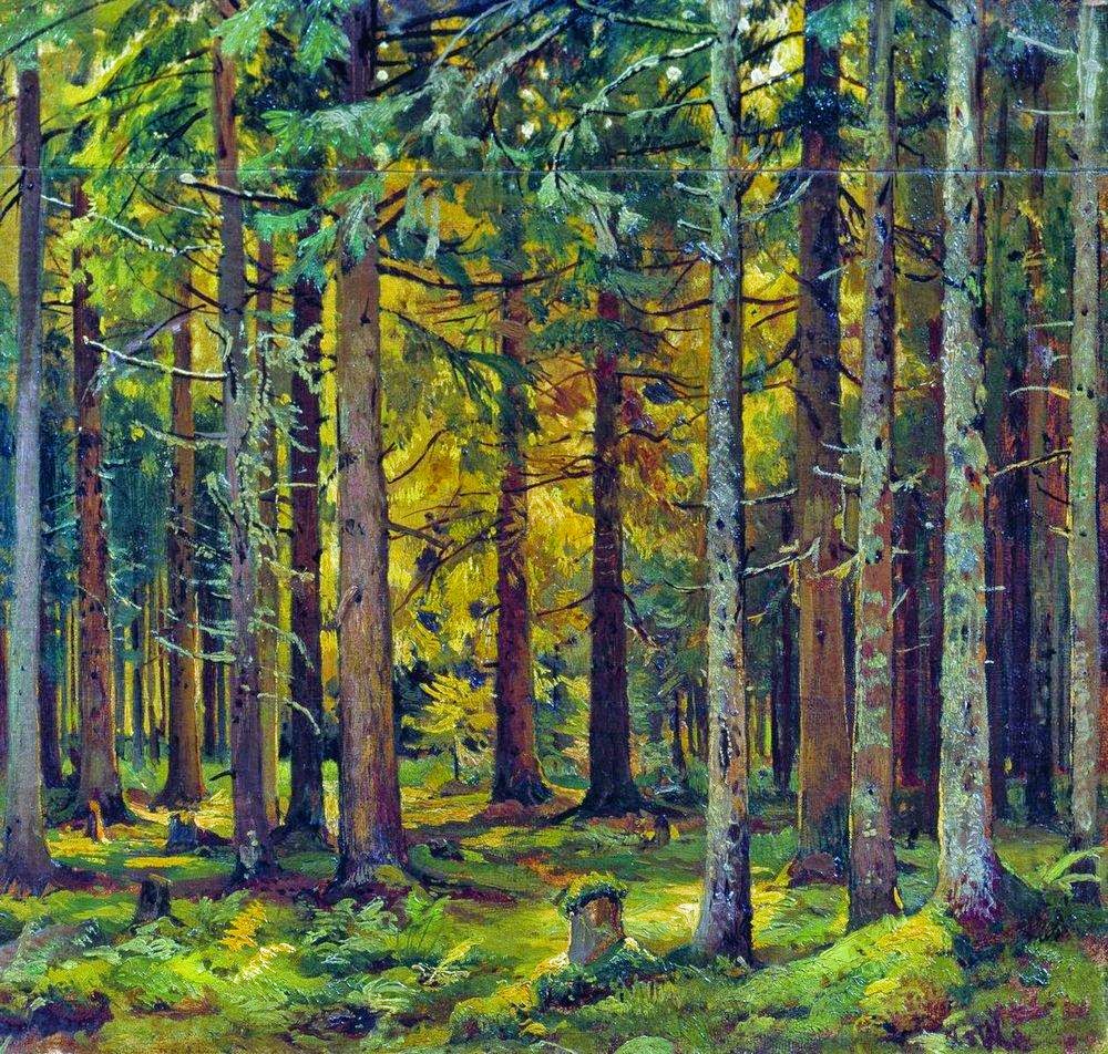 Ivan Shishkin /Ива́н Ши́шкин | Landscape painter | Tutt'Art@ | Pittura ...