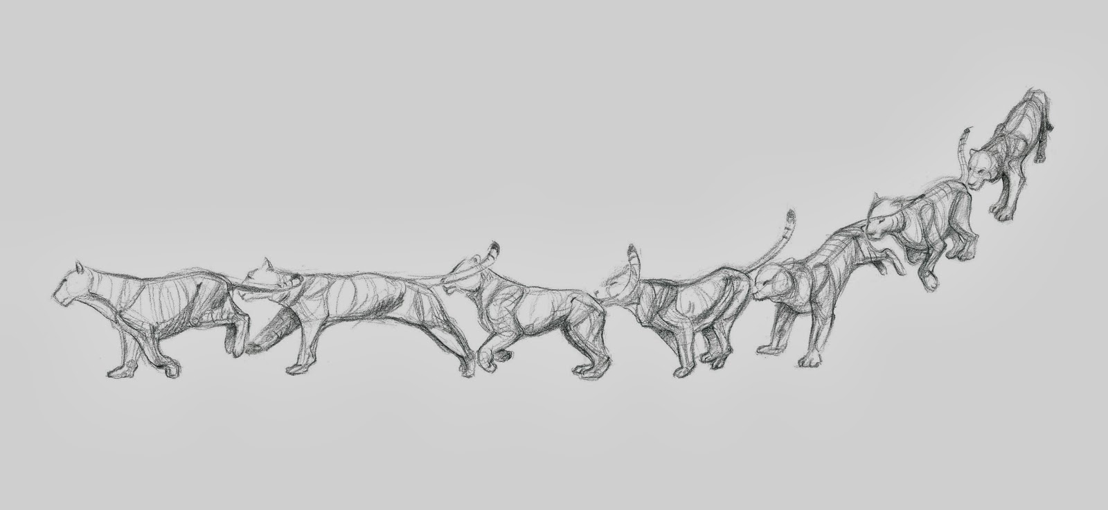 Omega Art: Animal Motion Studies
