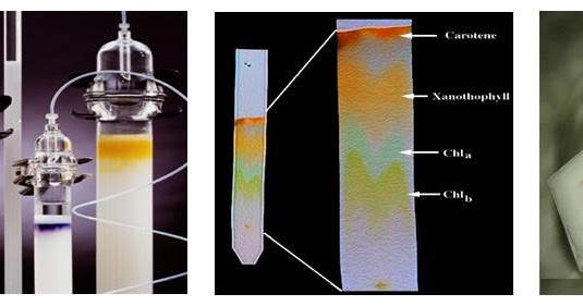 Introduction to Chromatography