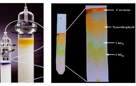 Science of Chromatography