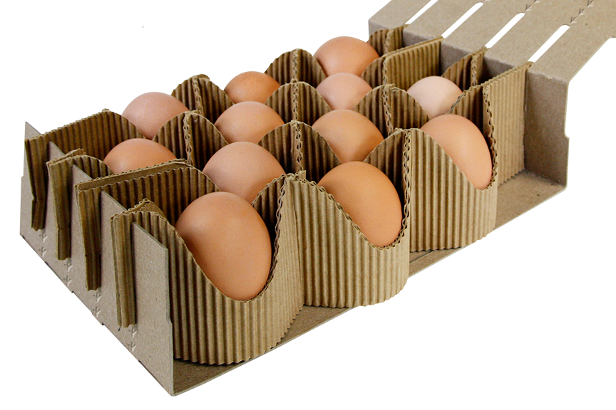 Sunrise Valley Egg Packaging (Student Project) – Packaging Of The World