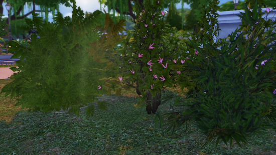 Helen-sims: TS4 Bushes set