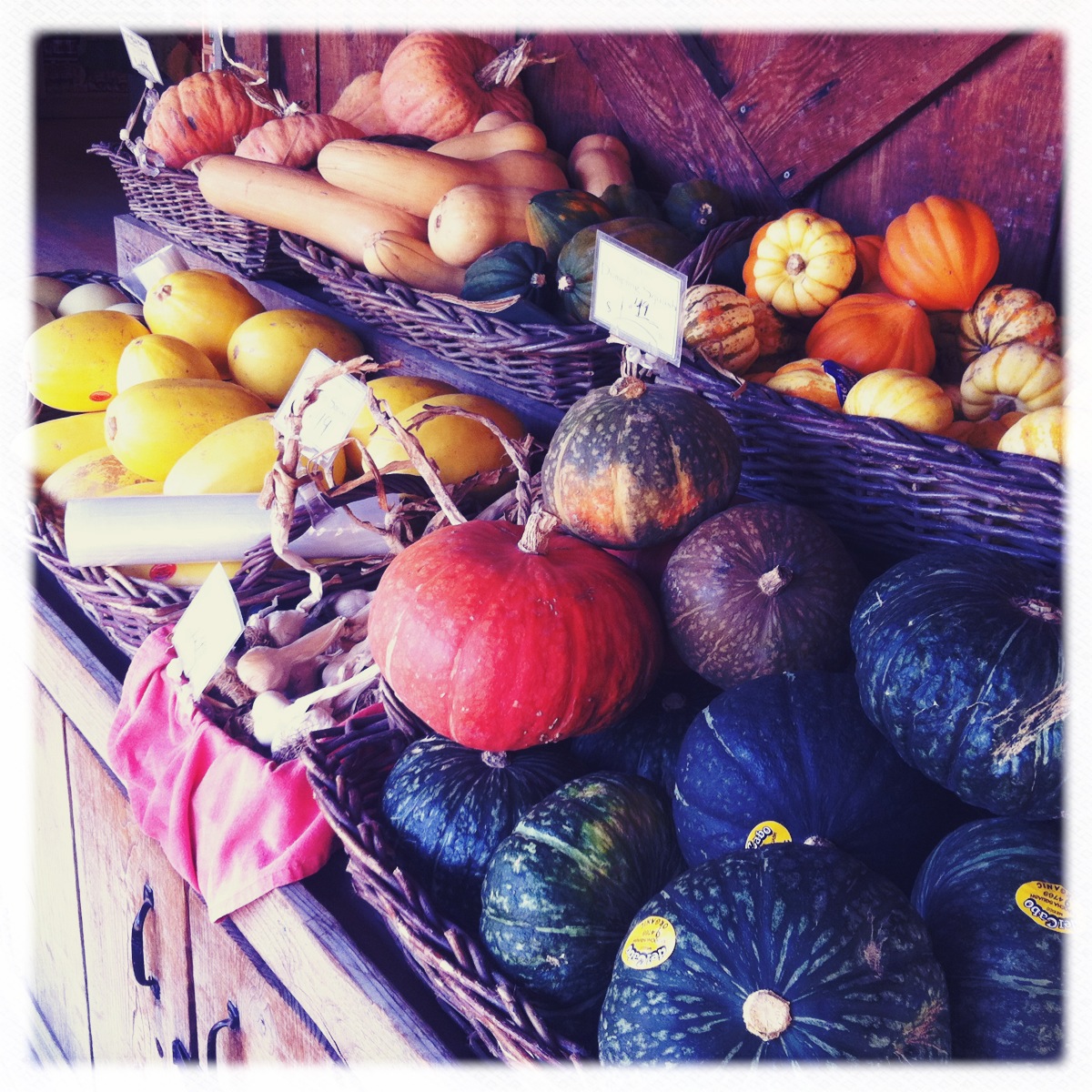 earthbound organic farm