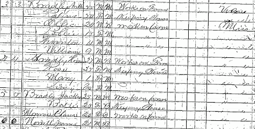 Between the Gate Posts: The Bradley Family Giving them back their Name