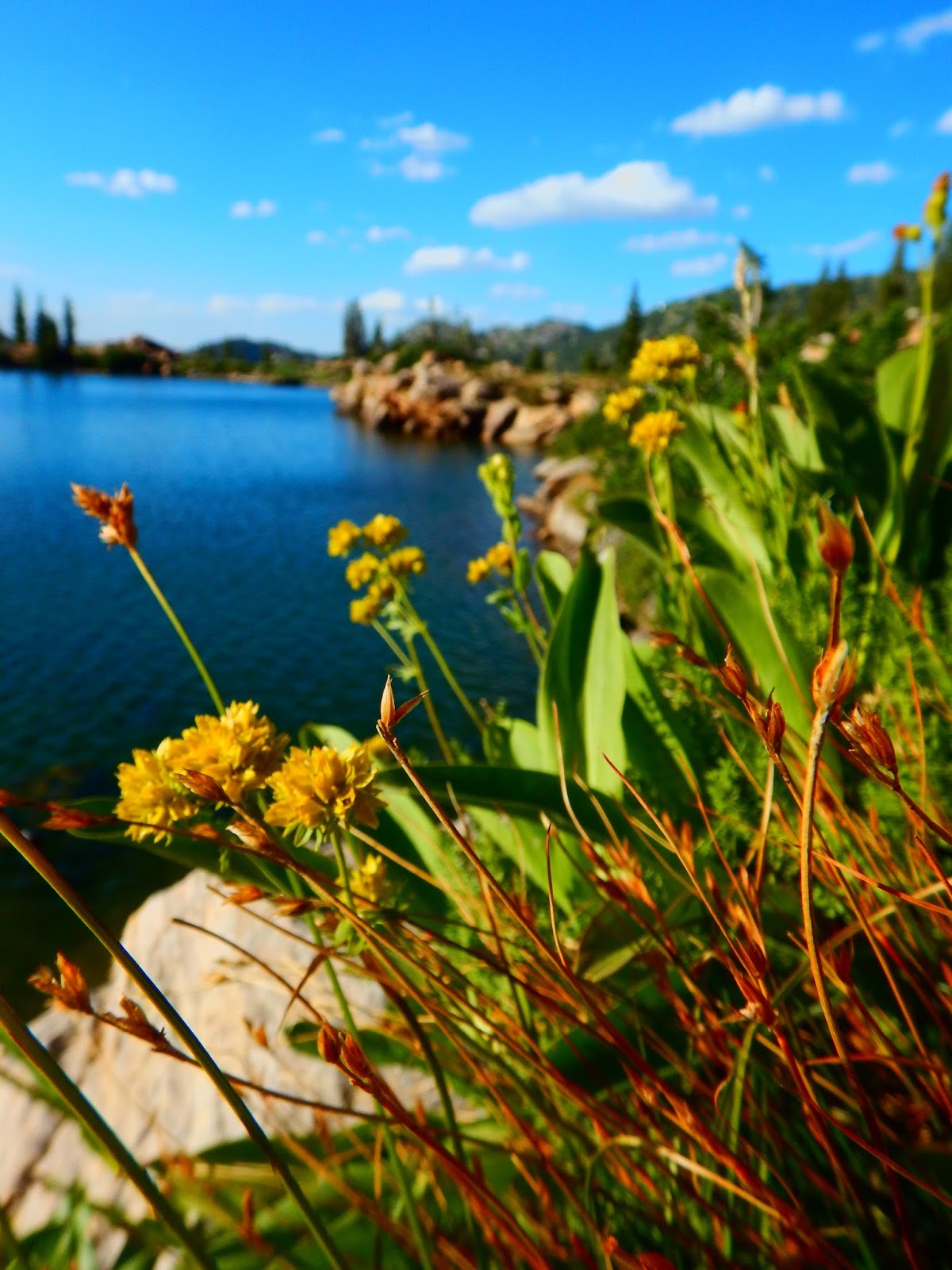 Tales of the 10th West Irregulars: Cecret Lake Alta, Utah