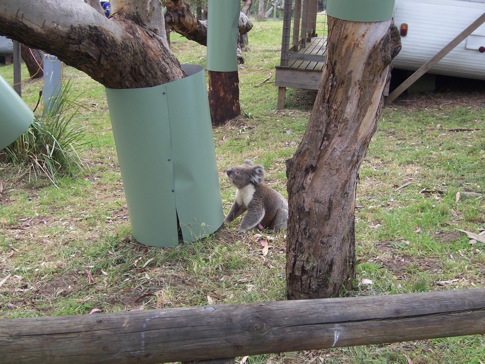 Travelling Around Australia in a Lemon: Grampians to Geelong