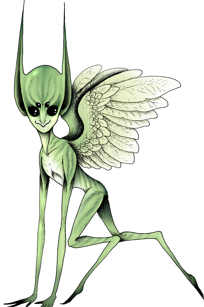 Harry Potter Blog: Informe: Los Narggles.