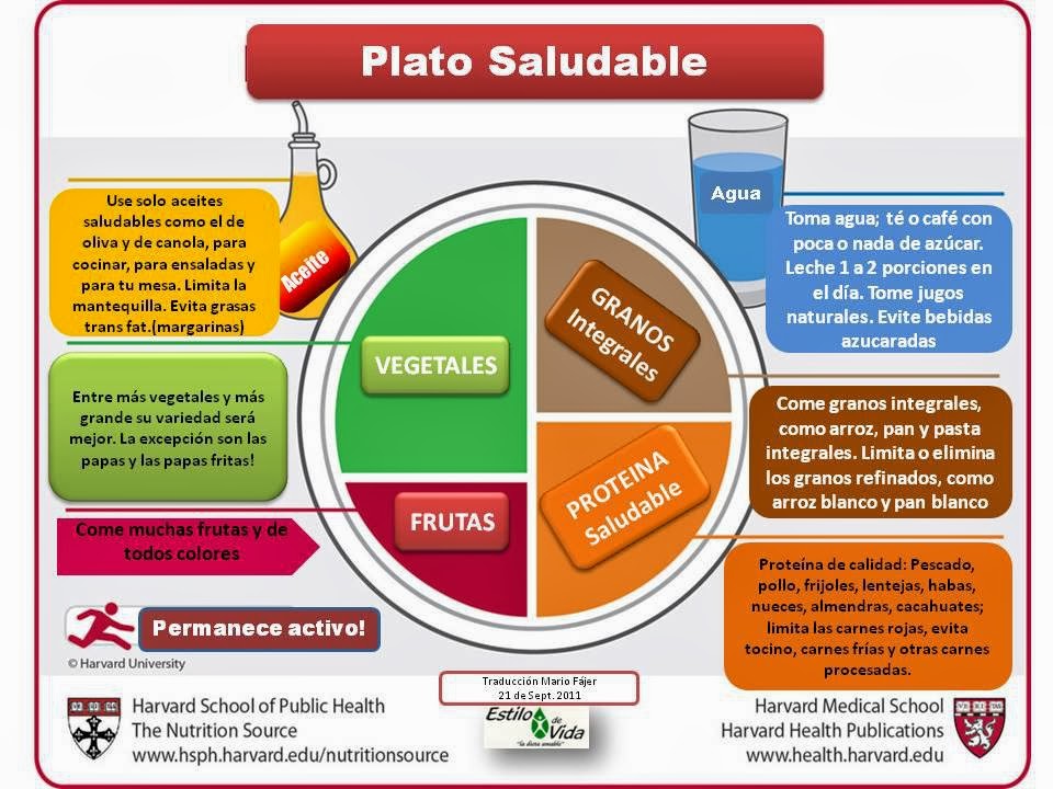 Nutrición Vital Rosario: Plato Saludable Universidad de Harvard