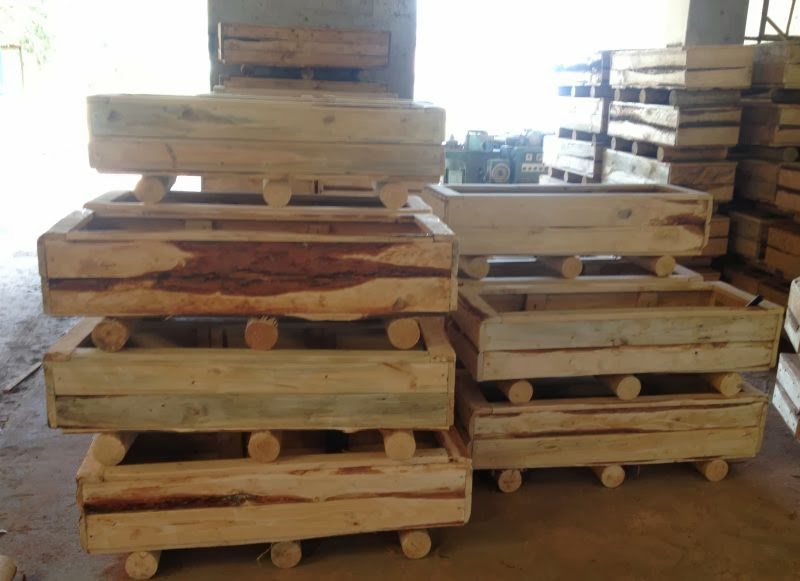 Eco Footprint ~ South Africa: A paddock in the making - part 2